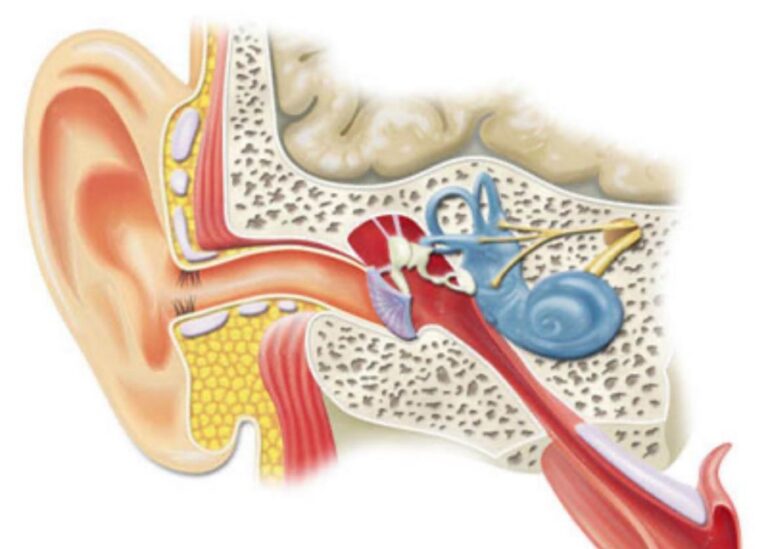 Celadrin - tratamentul durerilor articulare și musculare - Doctor 360